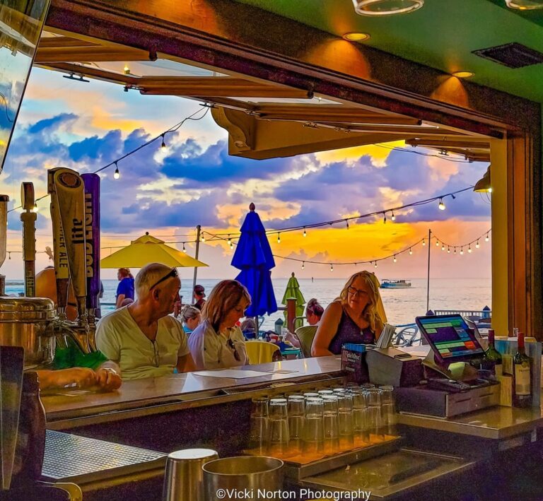 Jimmy’s Fish House & Iguana Bar | Waterfront Dining at Clearwater
