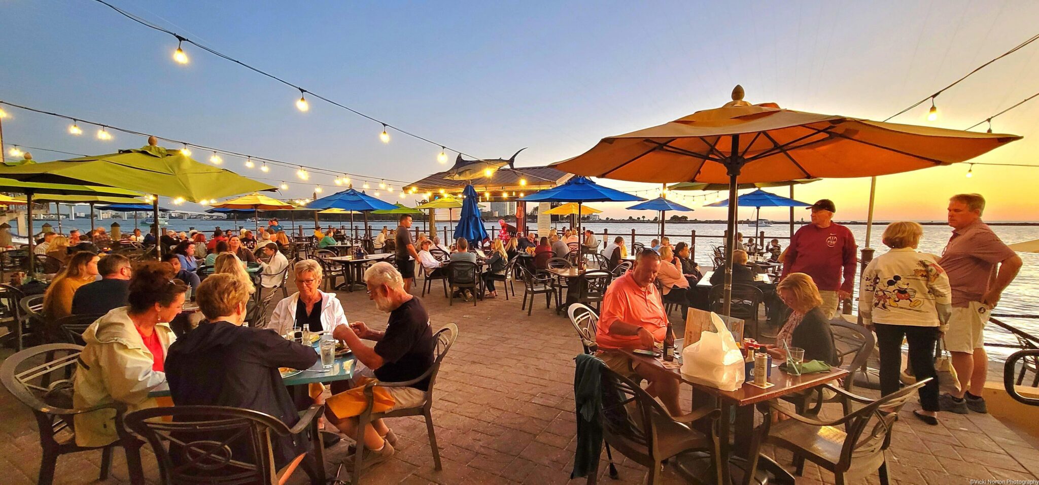 Jimmy’s Fish House & Iguana Bar | Waterfront Dining at Clearwater