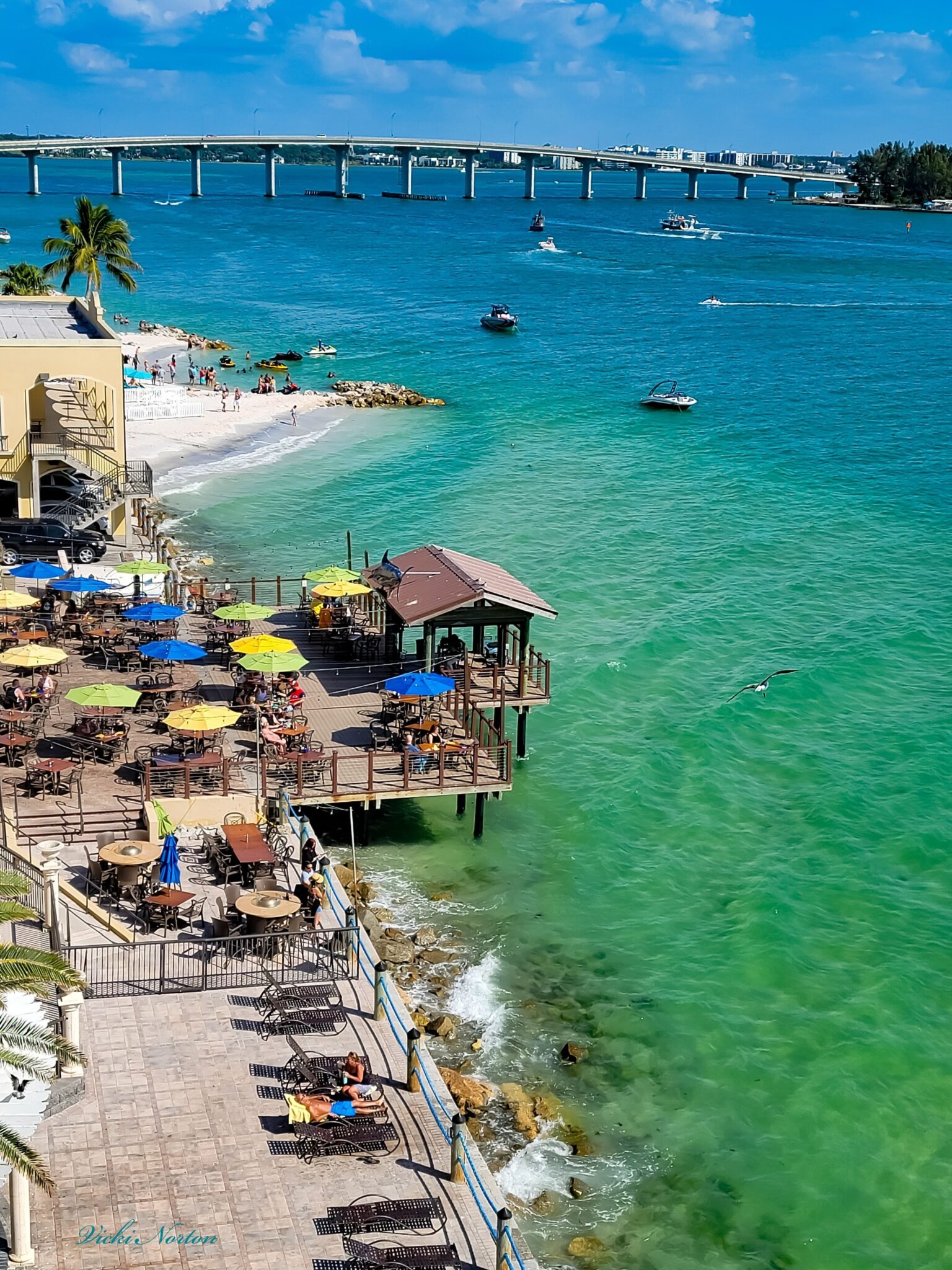 Jimmy’s Fish House & Iguana Bar | Waterfront Dining at Clearwater